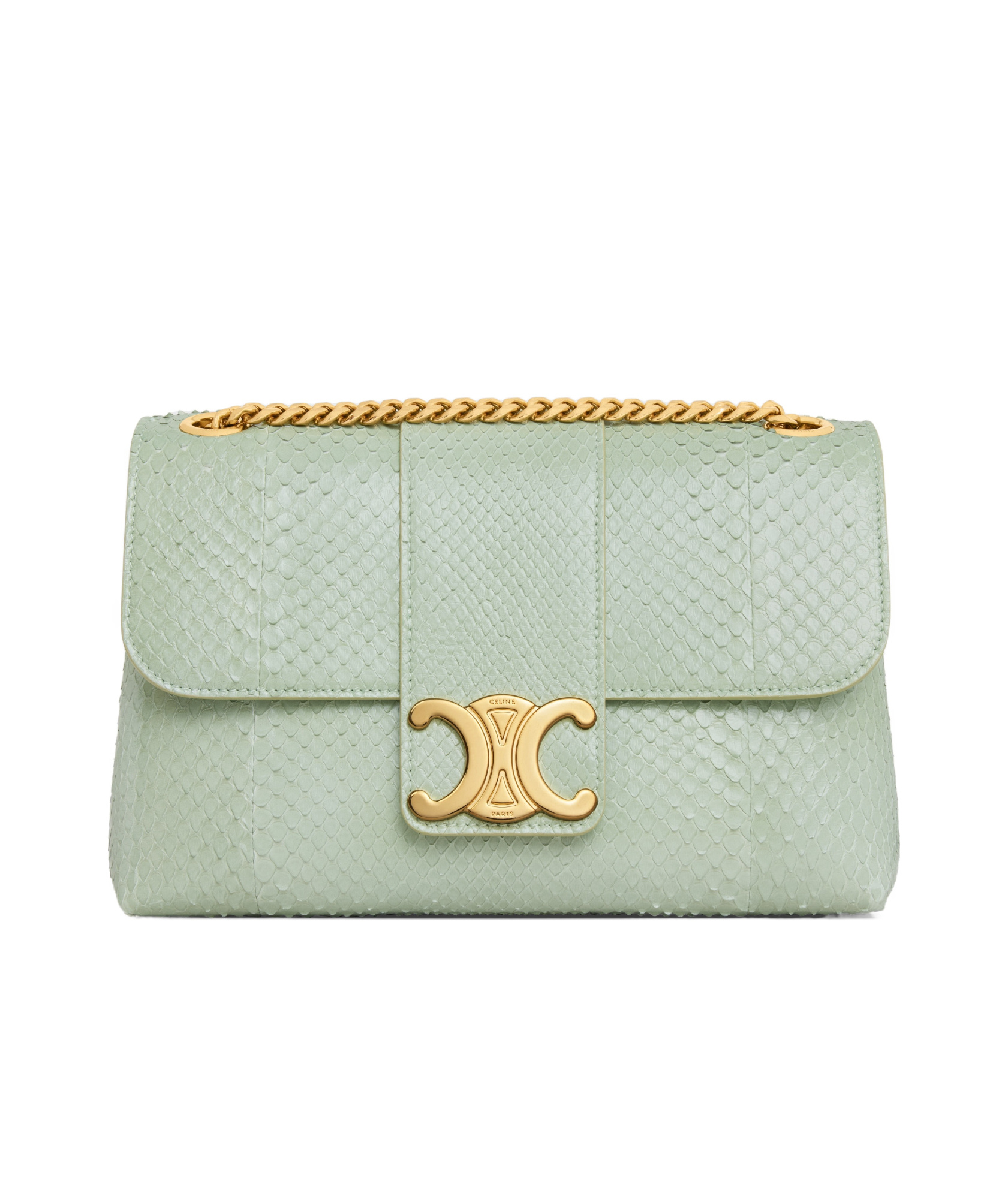 Celine Medium Victoire Shoulder Bag In Light Clay | ModeSens